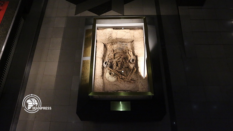 Achaemenid inscriptions touches hearts of history lovers in Qazvin